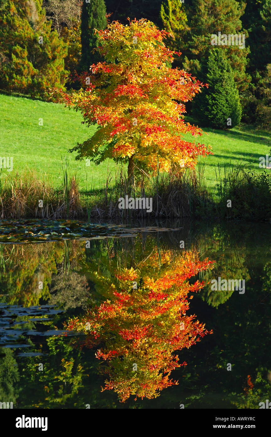 An indian summer hi-res stock photography and images - Alamy