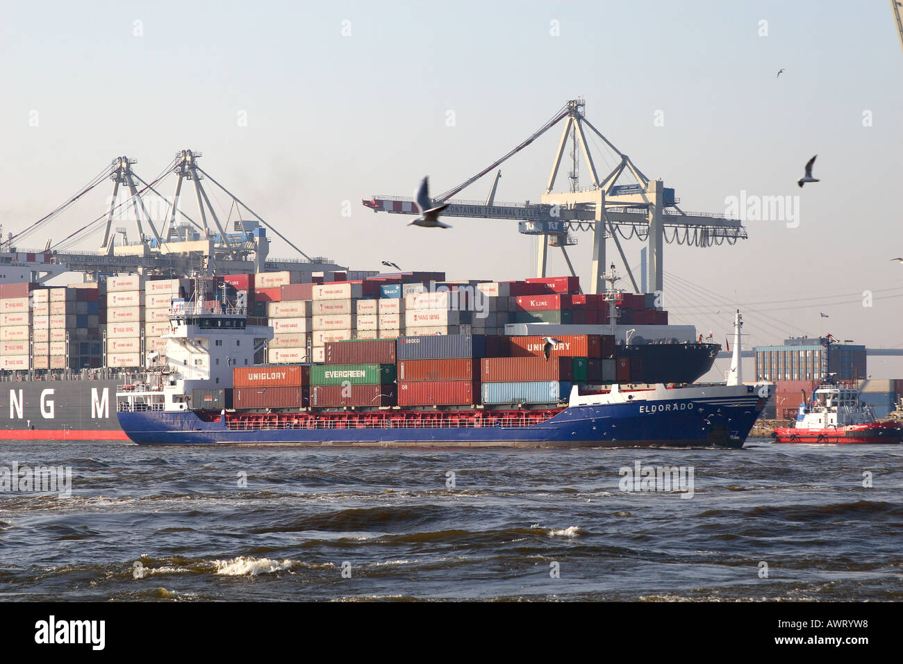 Container ship in Hamburg Harbour, Hamburg, Germany Stock Photo - Alamy