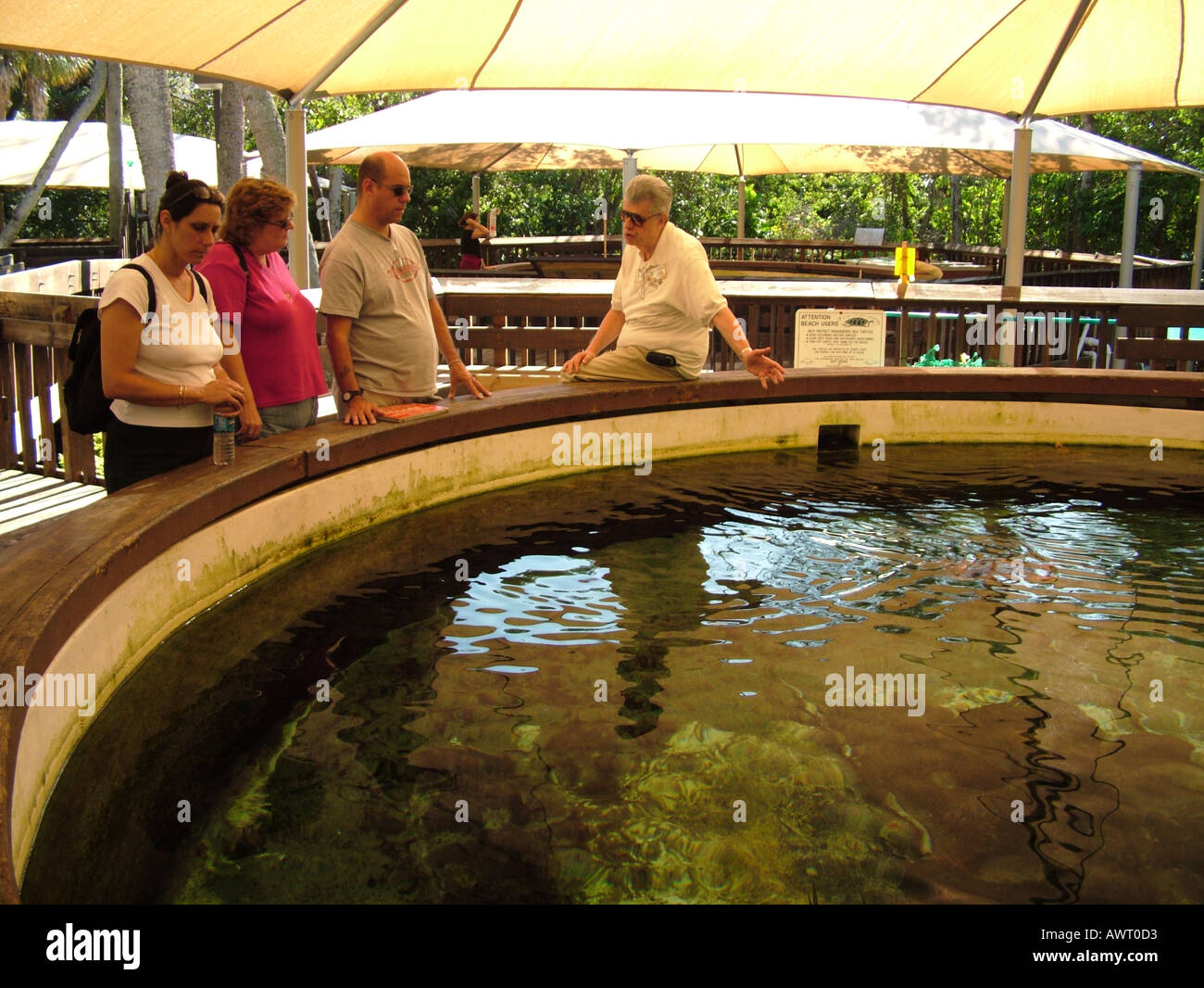 Florida nature photographs hi-res stock photography and images - Alamy