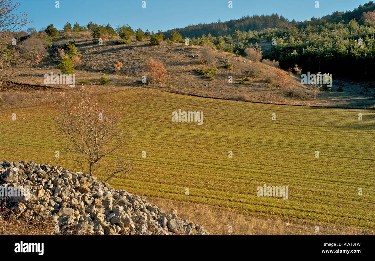 Beautiful color landscape with trees and hill Stock Photo - Alamy