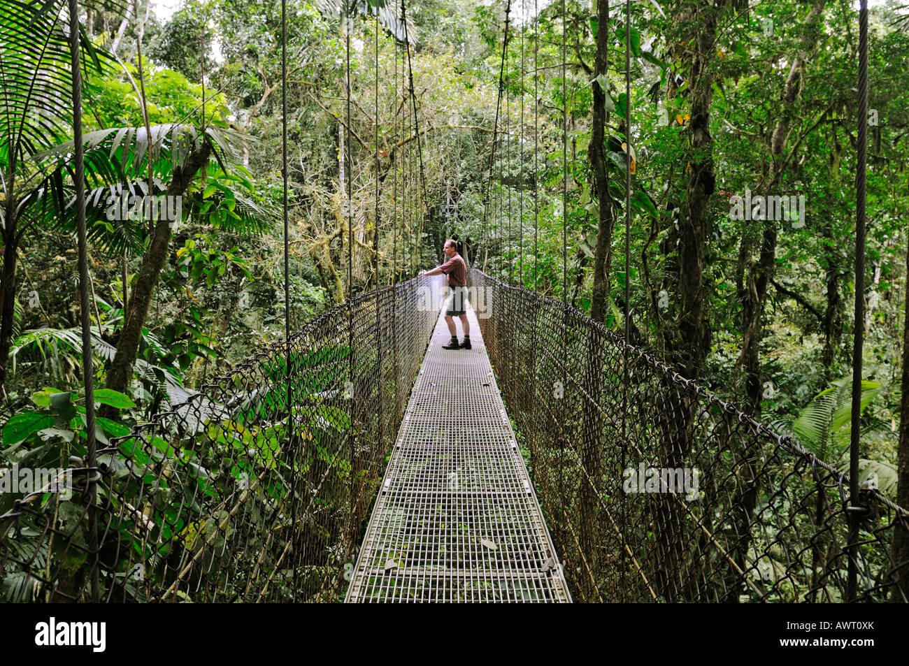 Man standing on suspension bridge hi-res stock photography and images ...