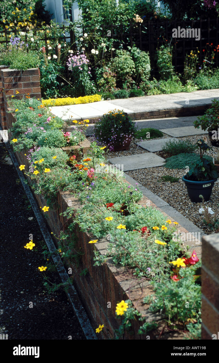 Wall flowers set in a garden boundary wall Stock Photo - Alamy