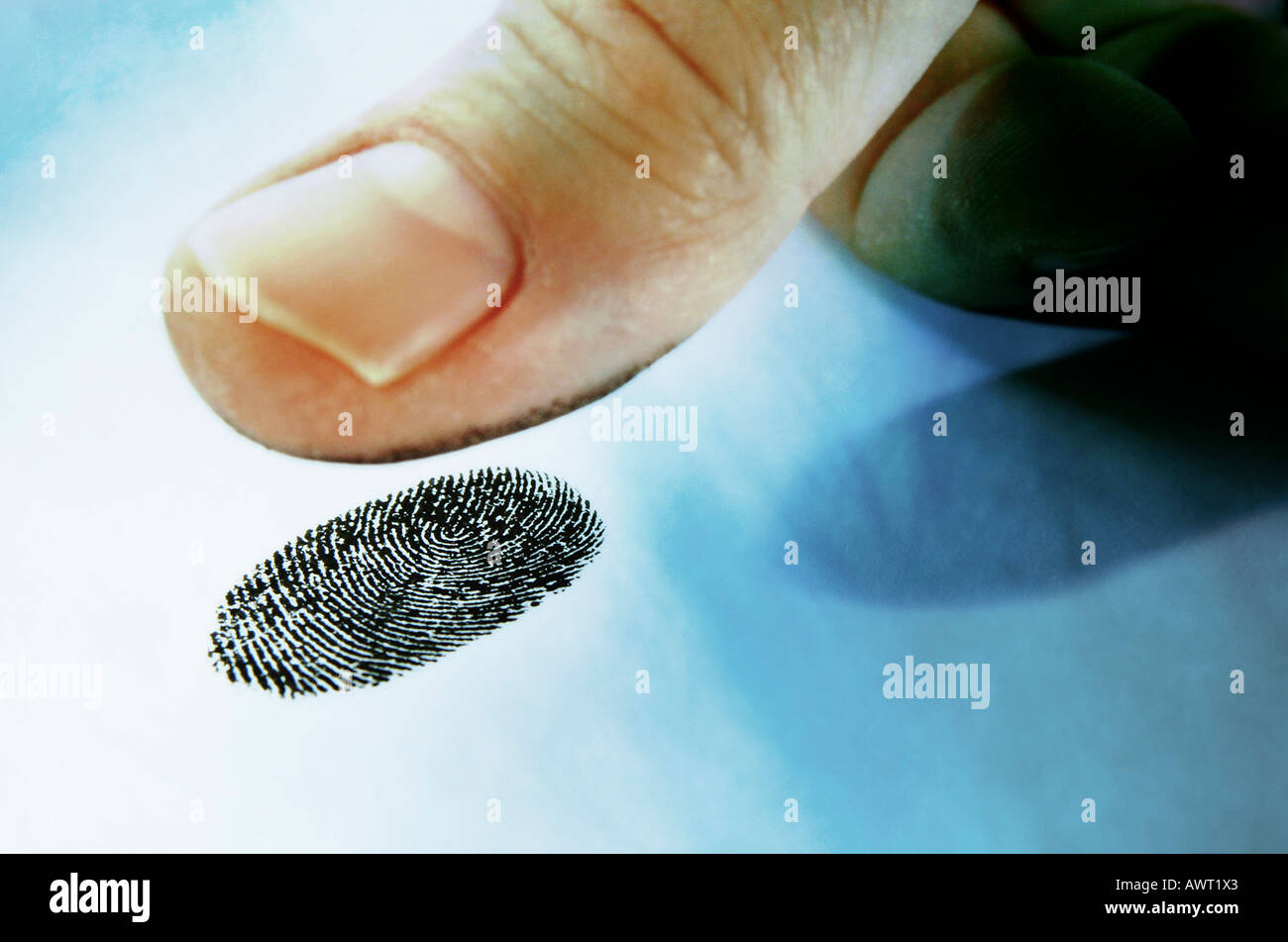 Man's thumb human fingerprint Stock Photo - Alamy