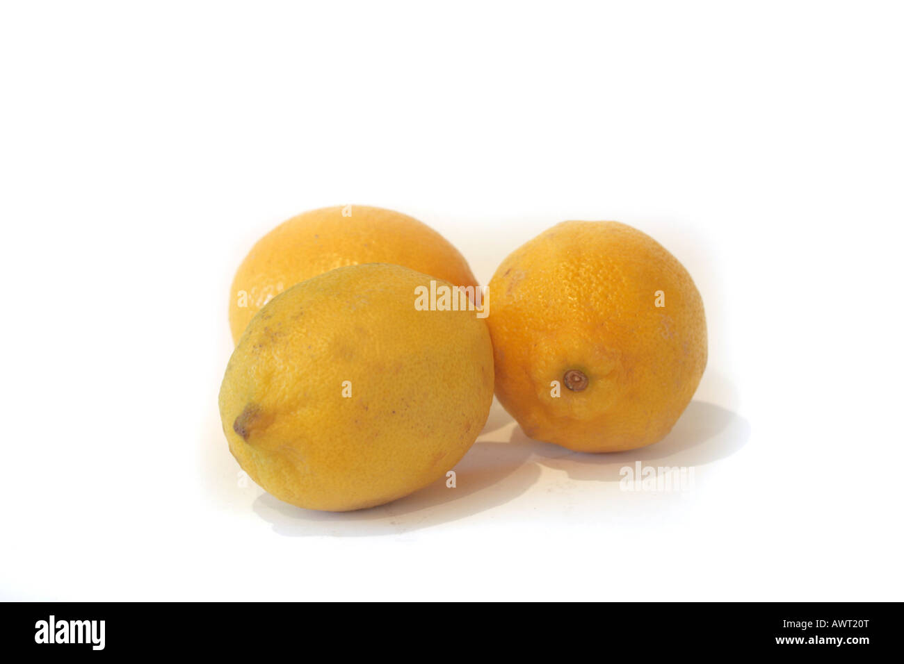 Three lemons Citrus limon Family Rutaceae on a white background Stock ...