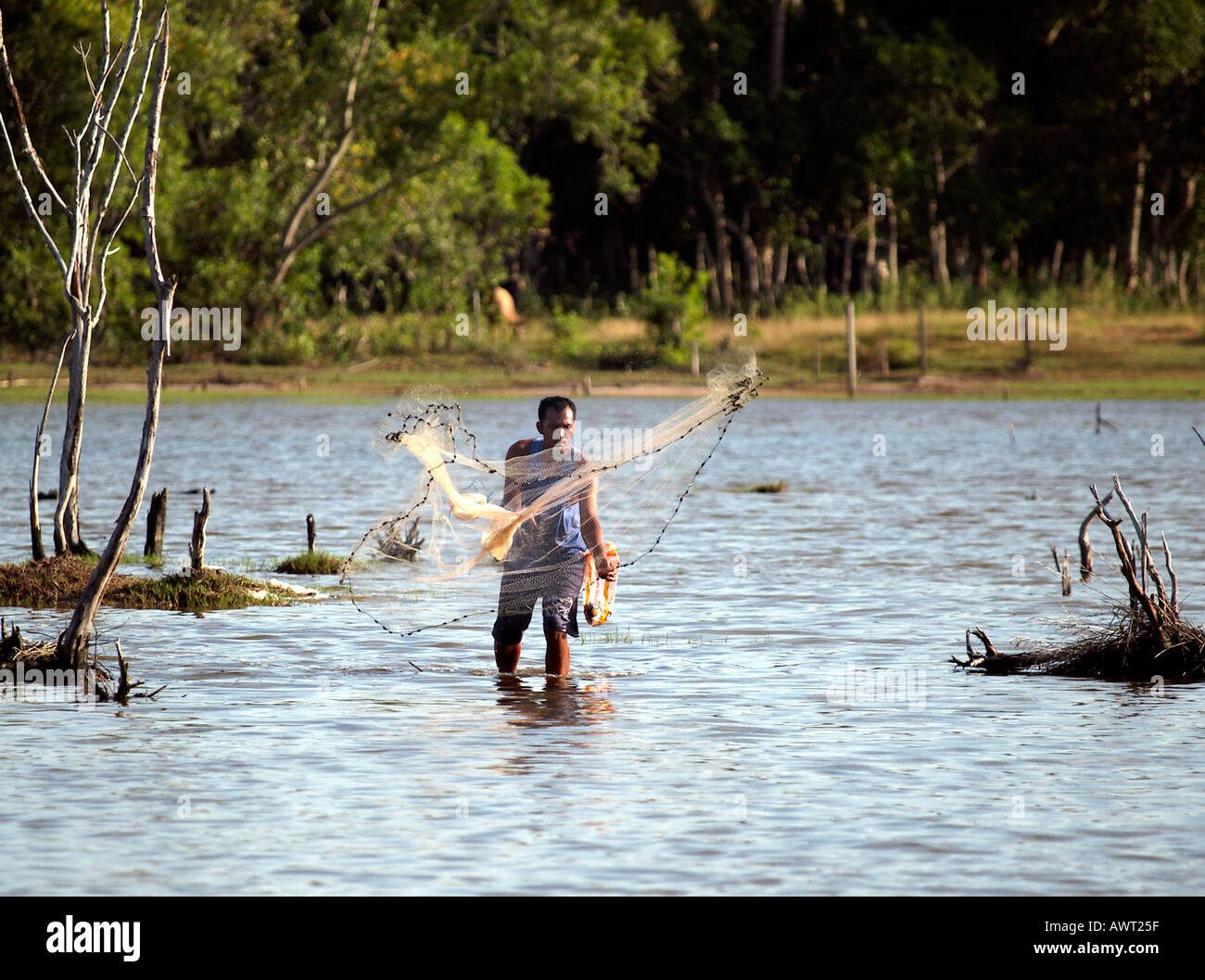 Borneo jungle fishing hi-res stock photography and images - Alamy