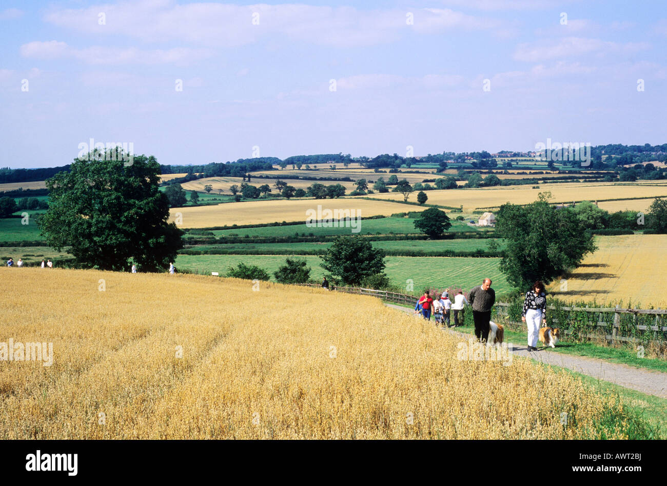 Bosworth Field Visitor Trail Leicestershire battle battlefield medieval ...