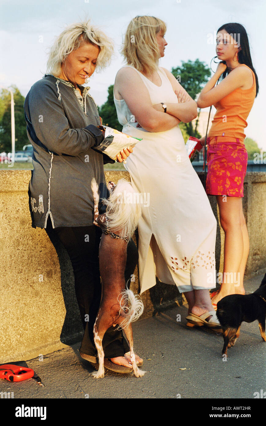 Women with a fancy dog, Kaliningrad, Russia Stock Photo - Alamy