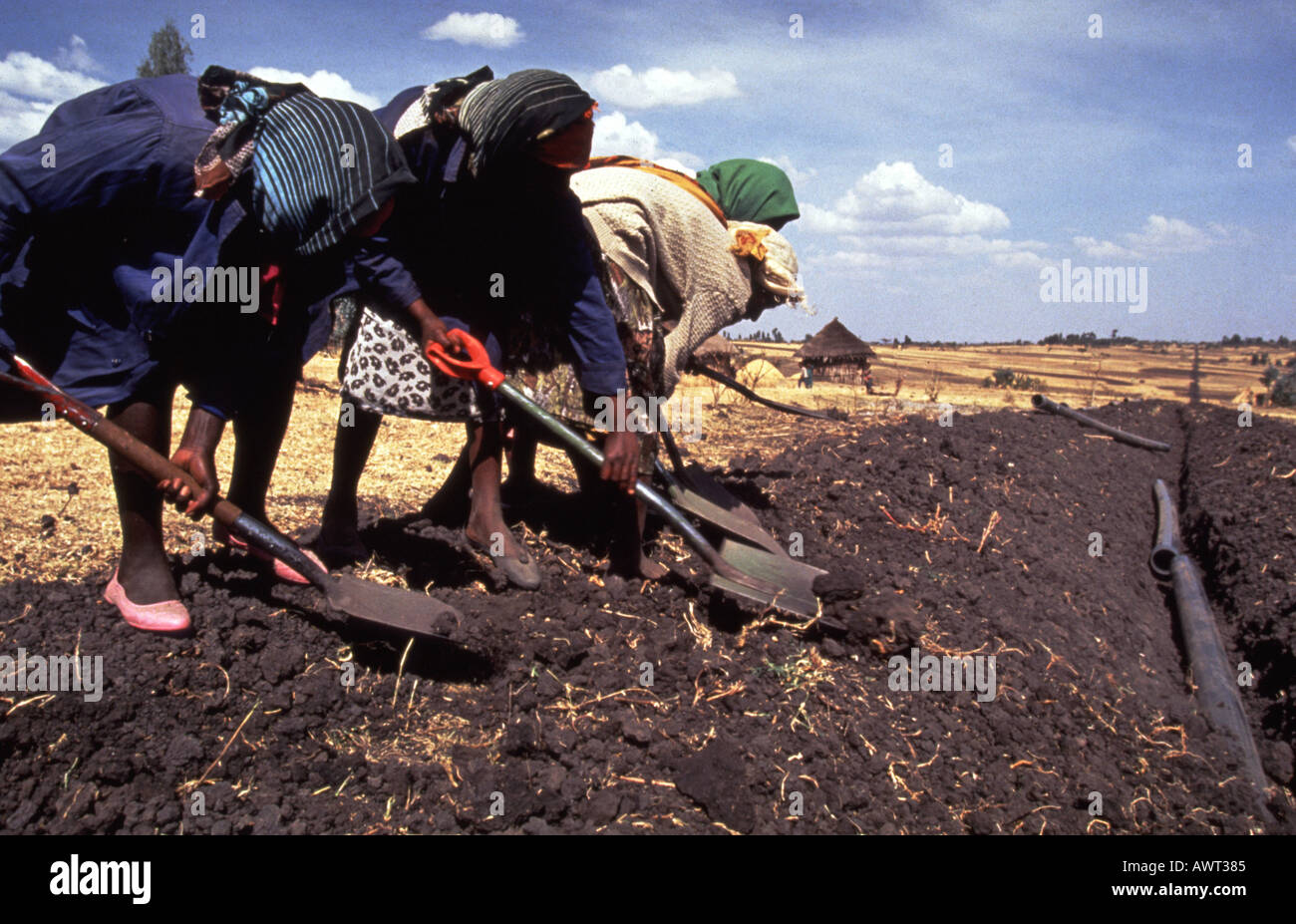 Ethiopian women digging a trench for a water pipe Stock Photo - Alamy