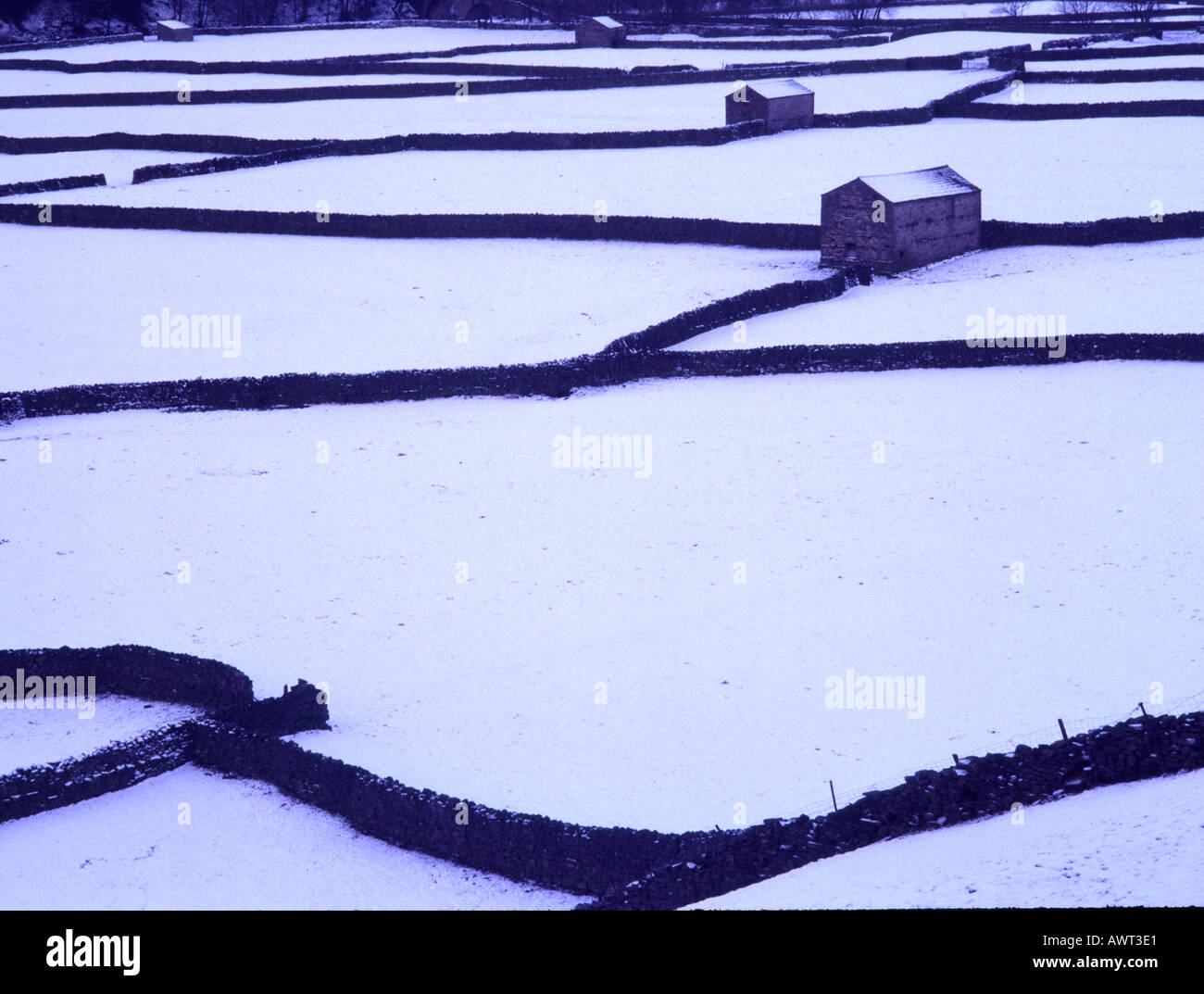 Swaledale stone walls and barn Gunnerside Bottoms Swaledale Yorkshire ...