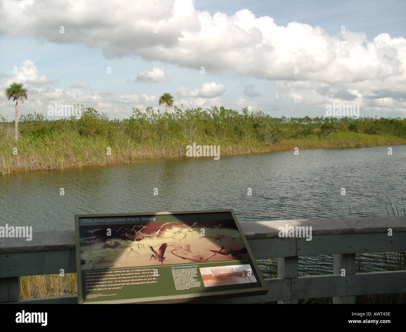 Jenny coe hi-res stock photography and images - Alamy