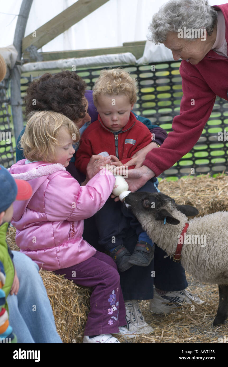Children feeding a lamb at a farm visitor centre Stock Photo - Alamy