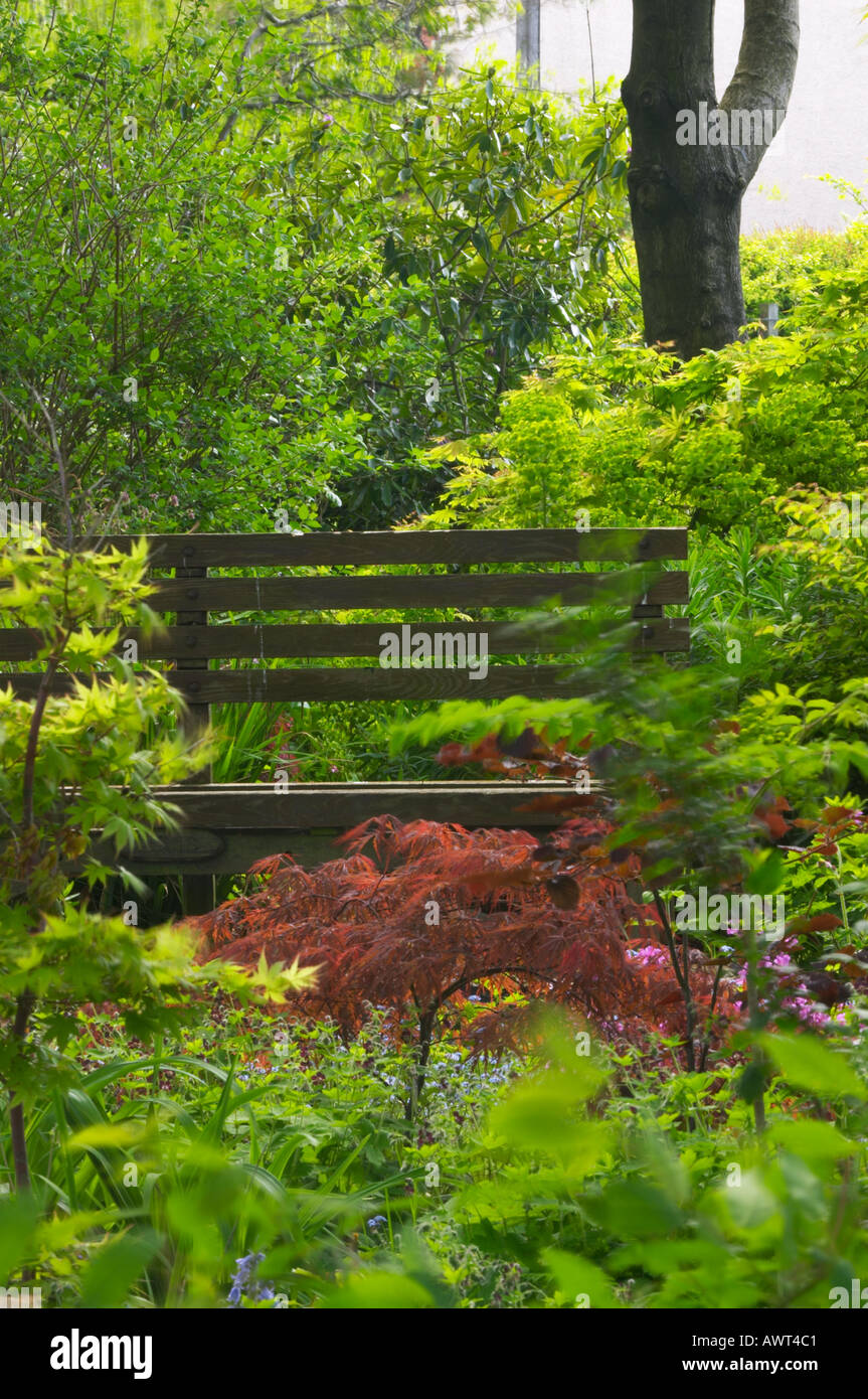 wooden bench in secluded garden surrounded by greenery and foliage ...