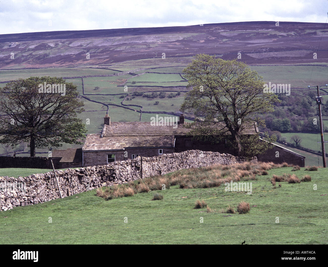 Farm above Low Row Swaledale Yorkshire Dales England Stock Photo - Alamy