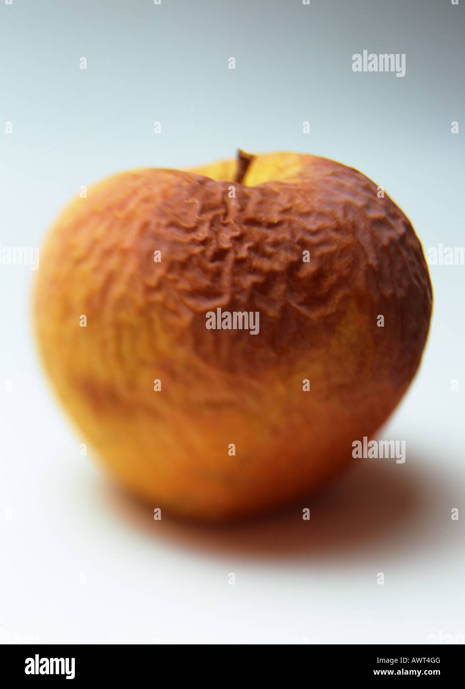 Rotten golden delicious apple hi-res stock photography and images - Alamy