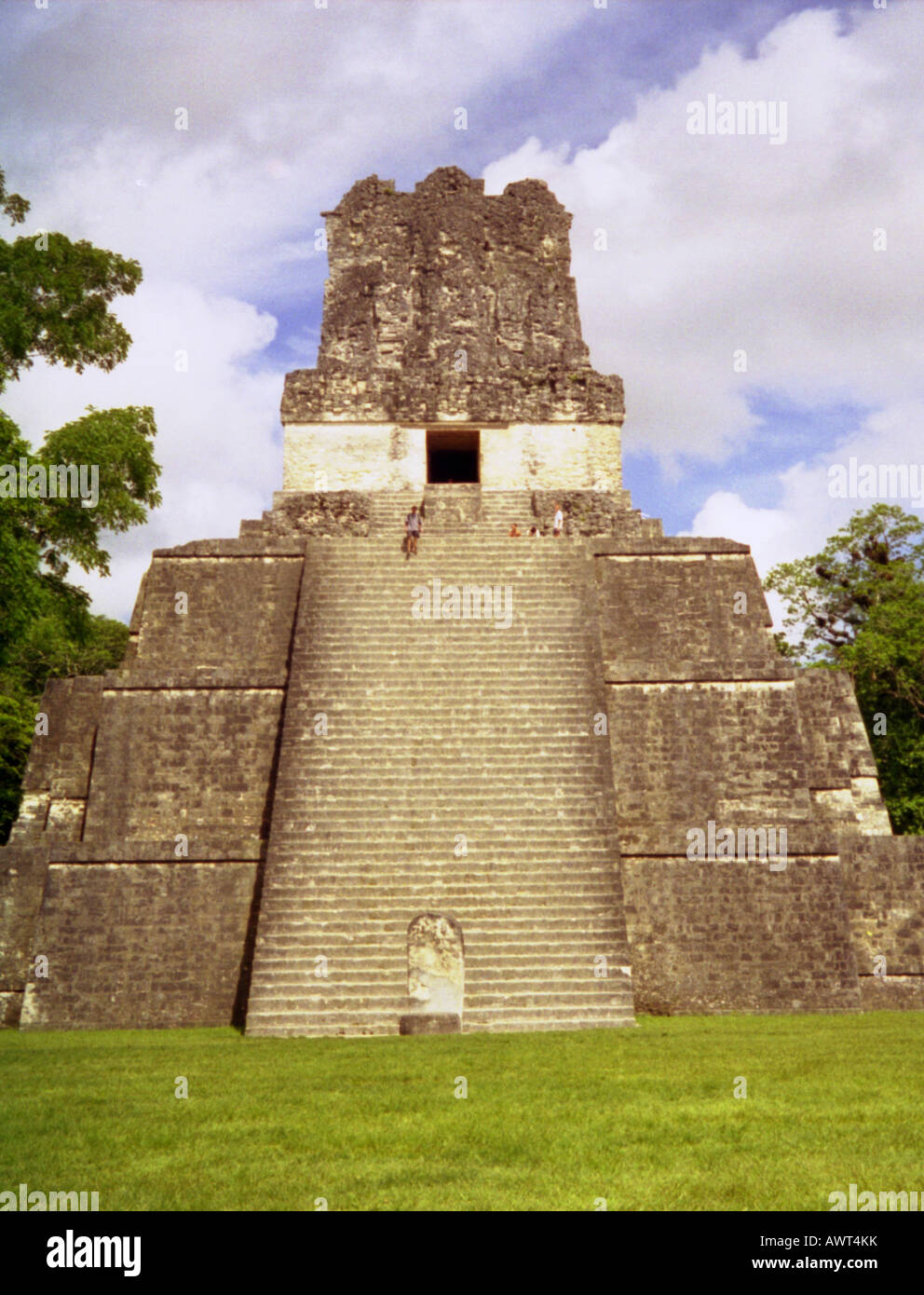 Panoramic view imposing Maya stone pyramid Tikal Guatemala Central ...