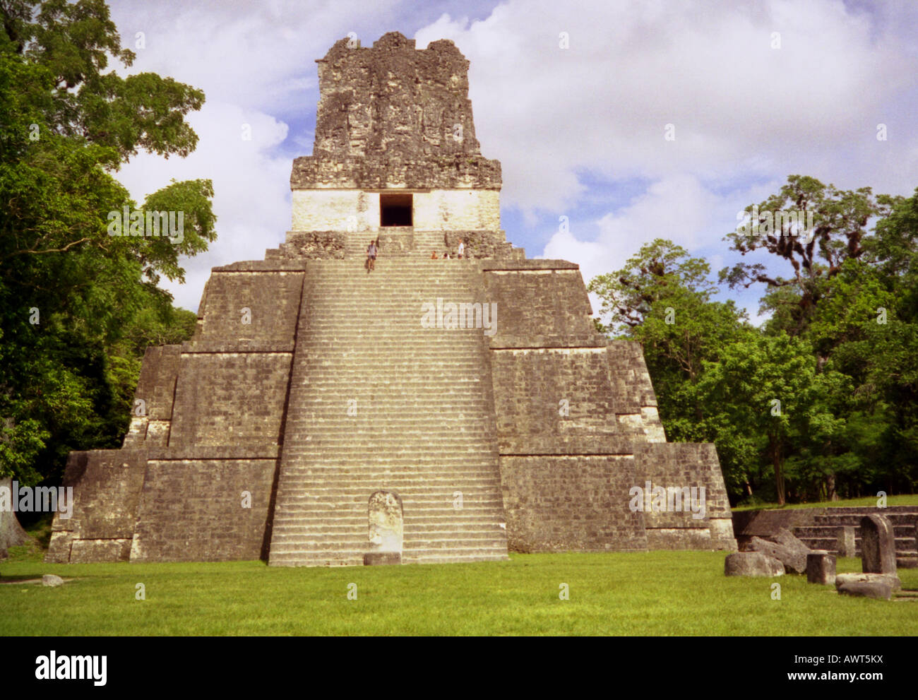 Panoramic view imposing Maya stone pyramid Tikal Guatemala Central ...