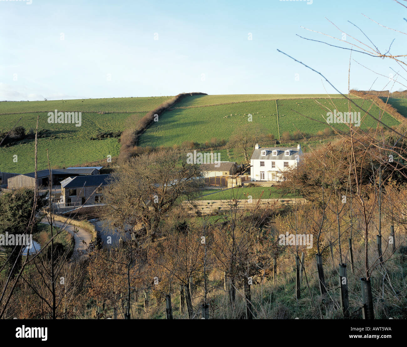 FOWLESCOMBE FARM, UK Stock Photo - Alamy