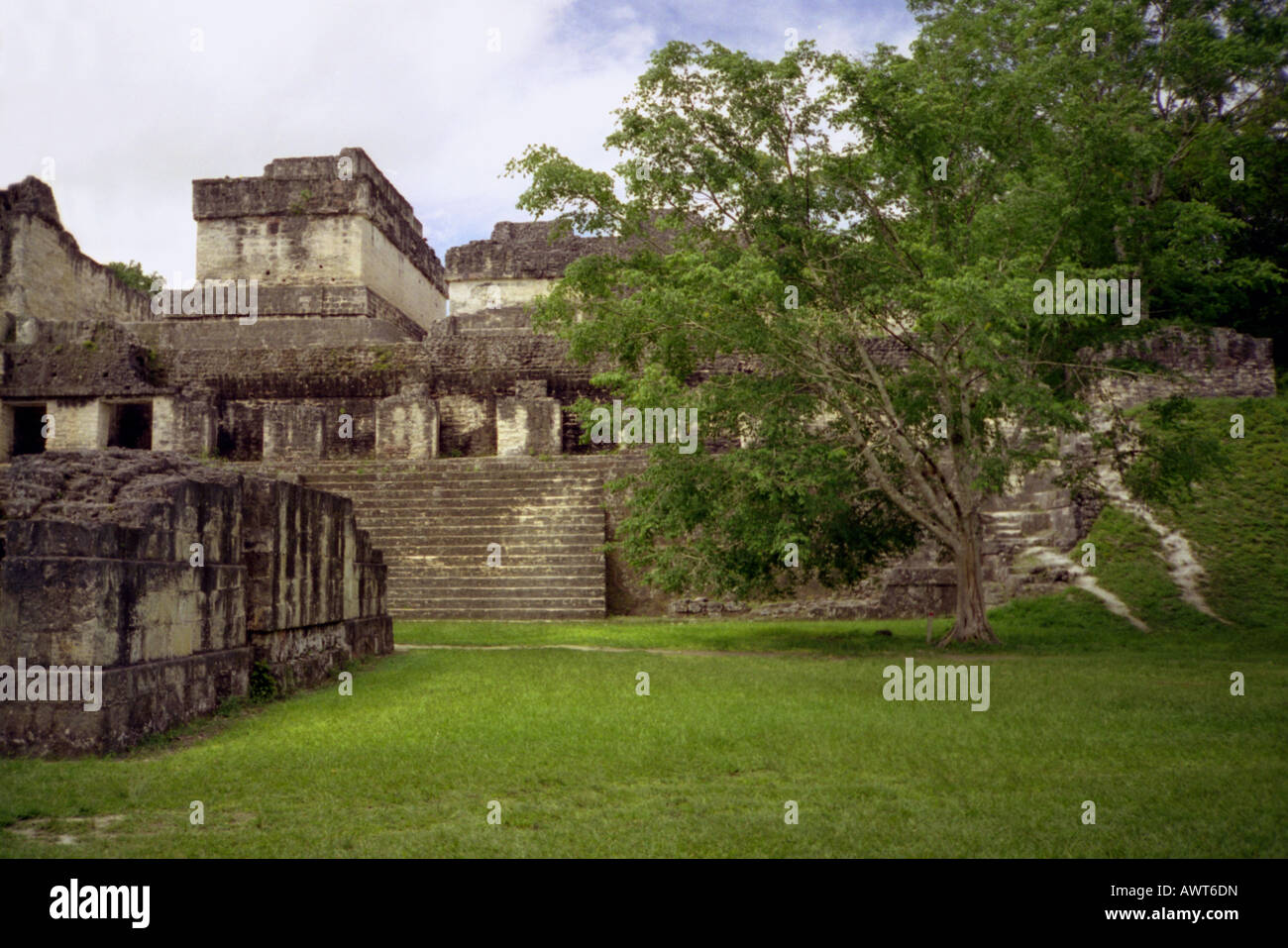 Panoramic view imposing Maya stone pyramid Tikal Guatemala Central ...