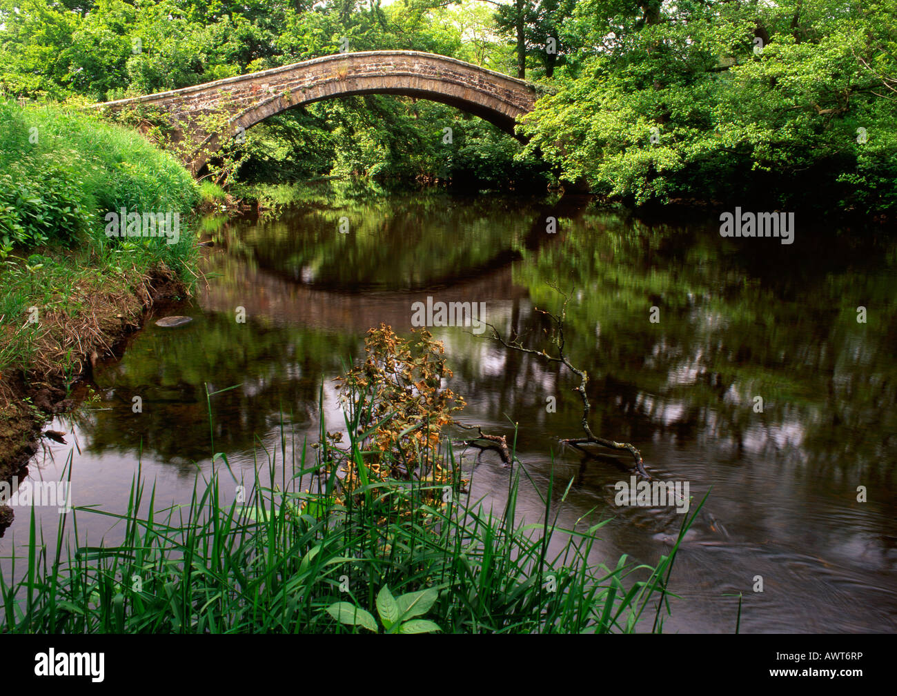 Birstwith hi-res stock photography and images - Alamy