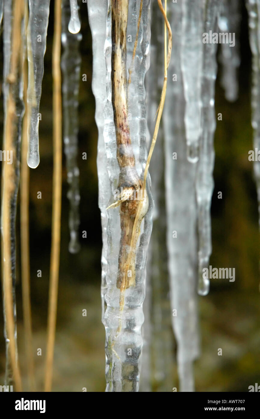 Hanging from ledge hi-res stock photography and images - Alamy
