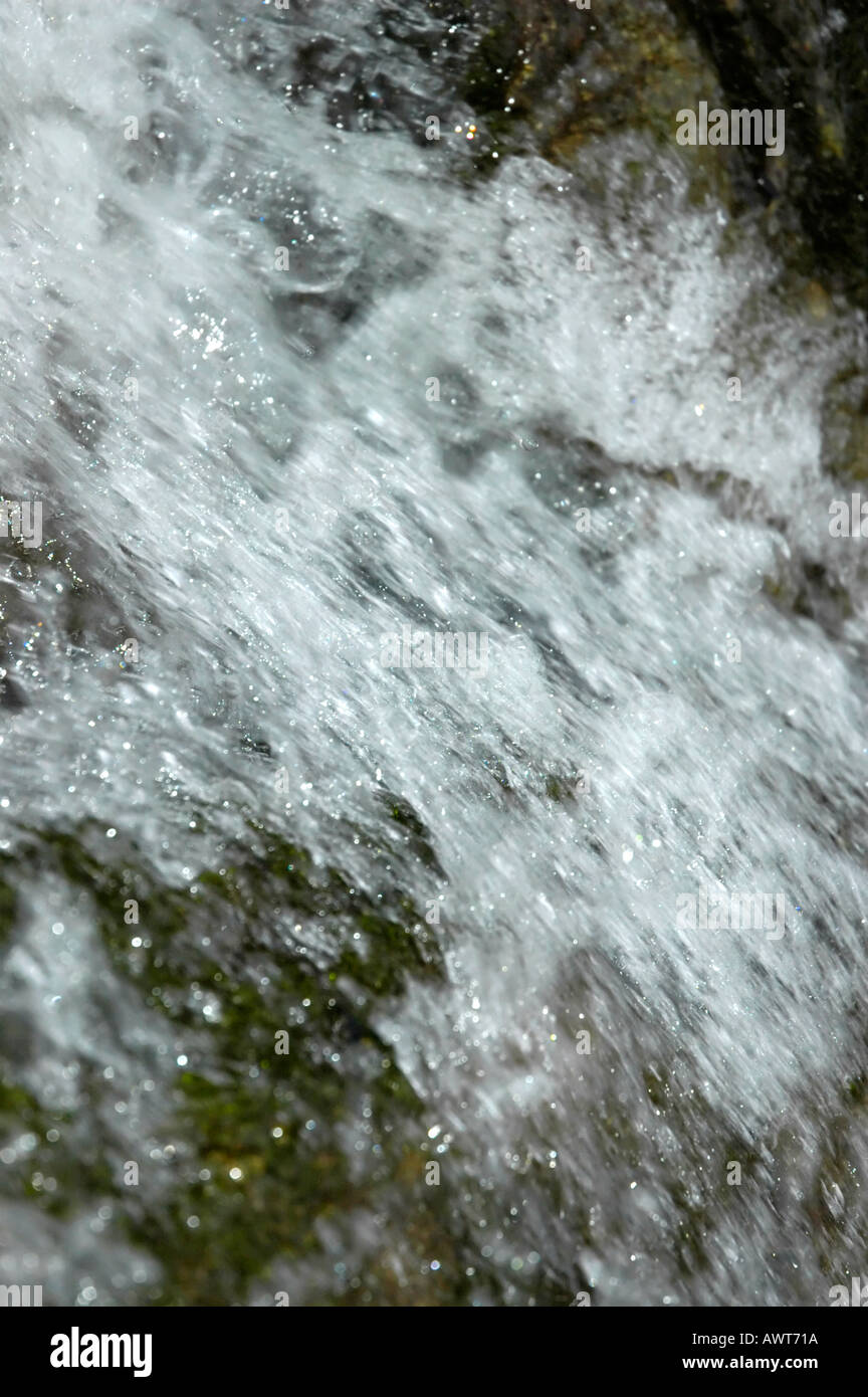 Water cascading over stones on a crystal clear stream Stock Photo - Alamy
