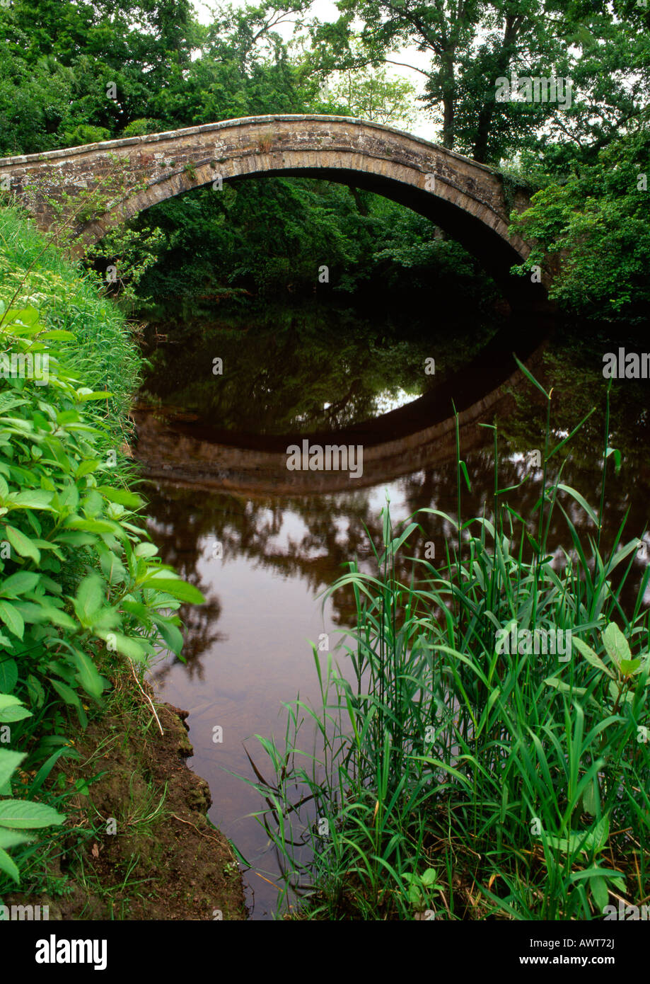 Birstwith hi-res stock photography and images - Alamy