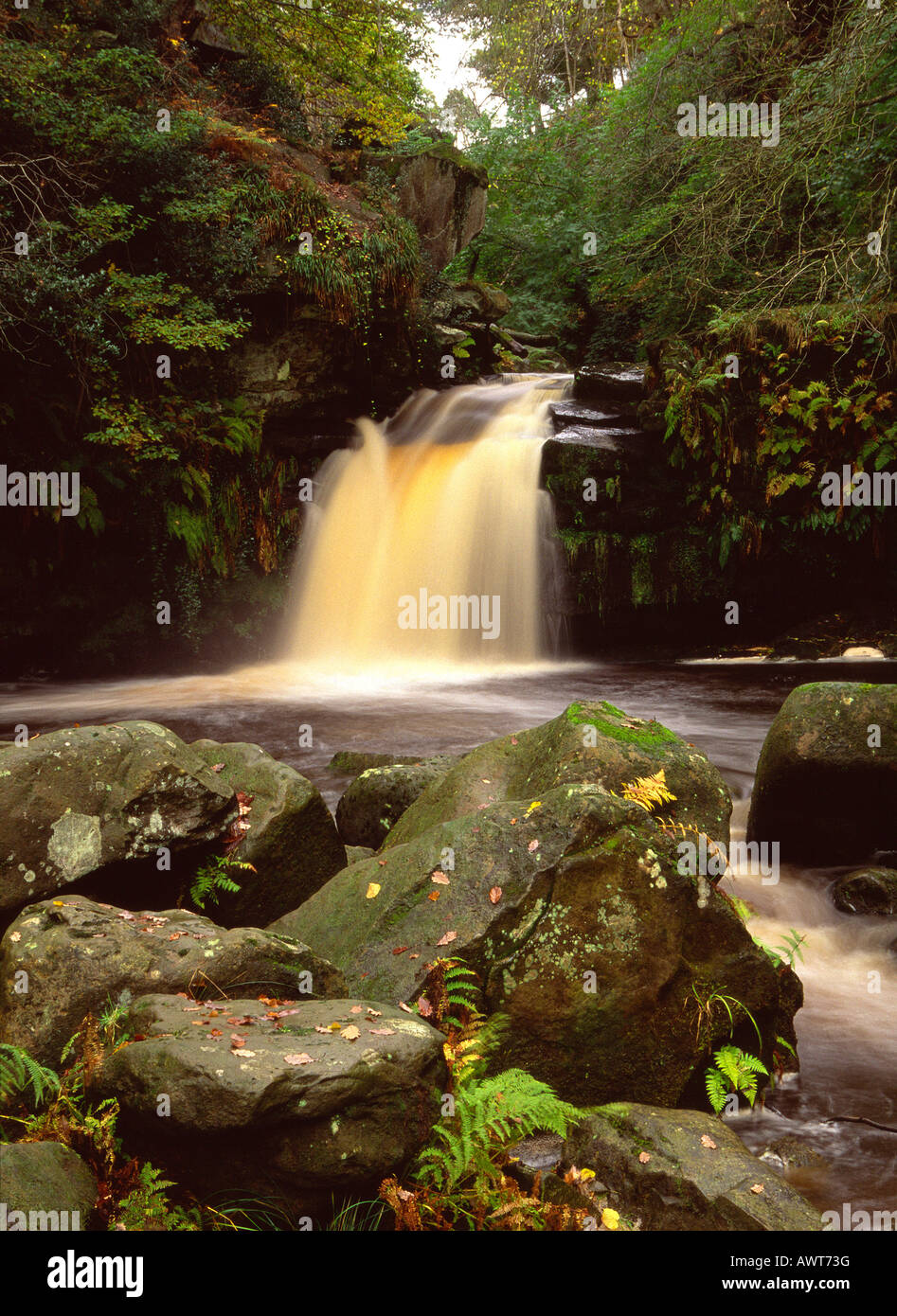 Thomason Foss waterfall North Yorkshire England UK Stock Photo - Alamy