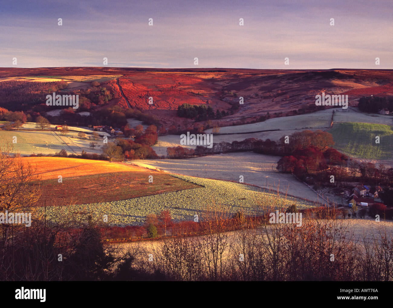 Surprise View Gillamoor with winter frost North Yorkshire Moors ...