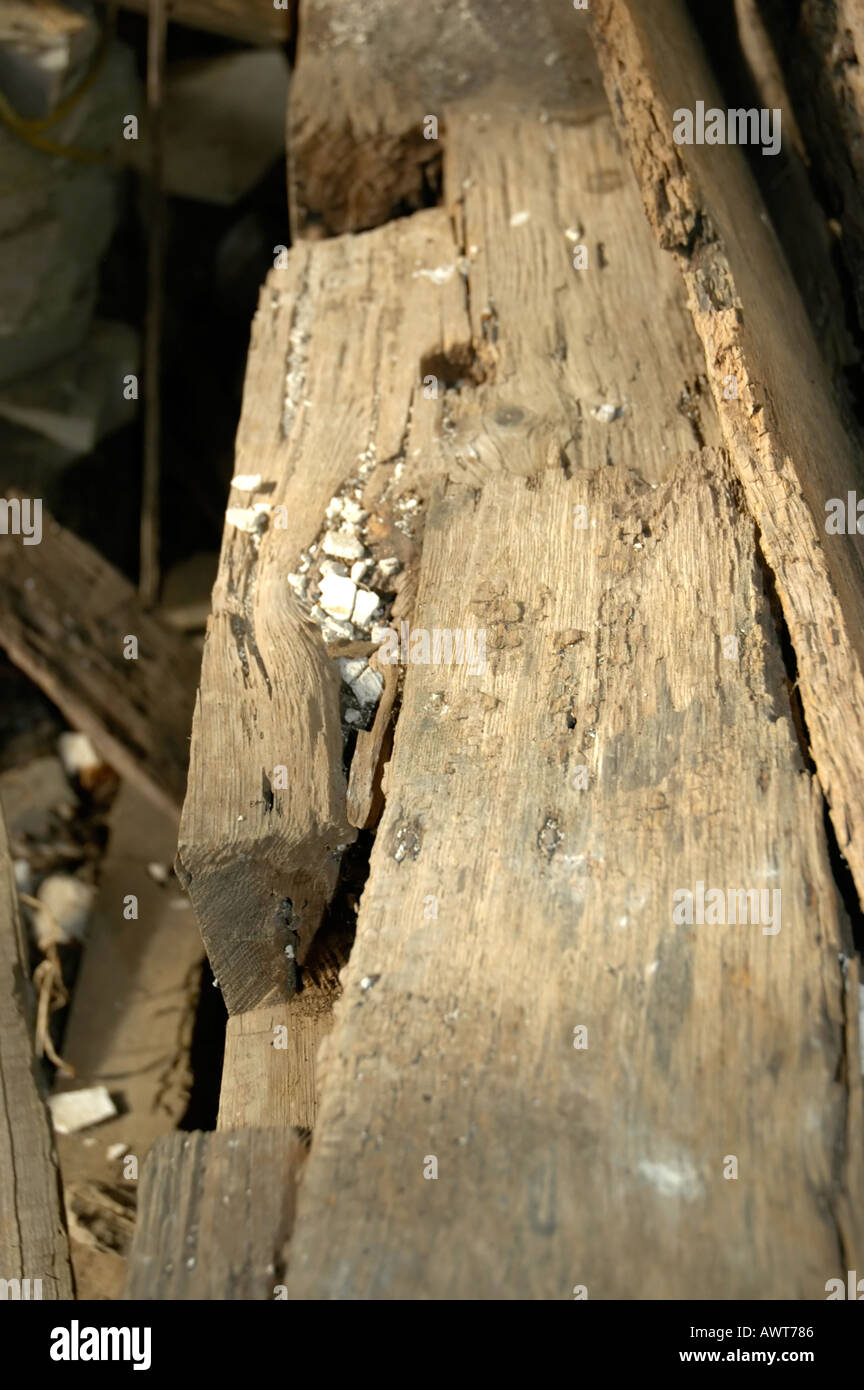 Wooden beam with support notches that was hand cut from a log for a ...