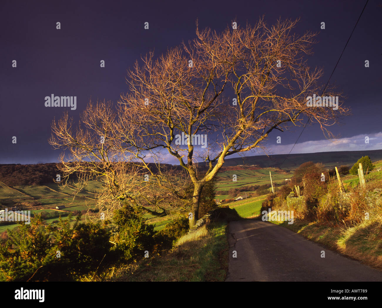 Winter storm Great Fryupdale North Yorkshire Moors National Park ...