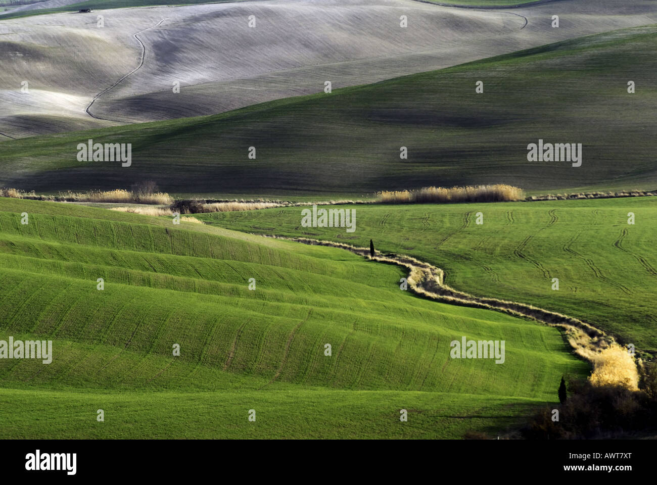 Tuscana rural landscape in italy Stock Photo - Alamy