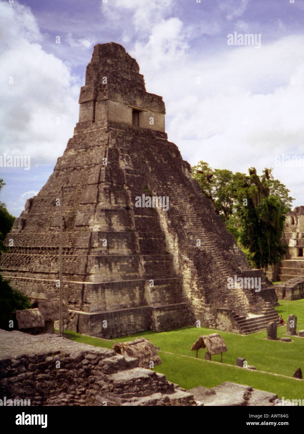 Panoramic view imposing Maya stone pyramid Tikal Guatemala Central ...