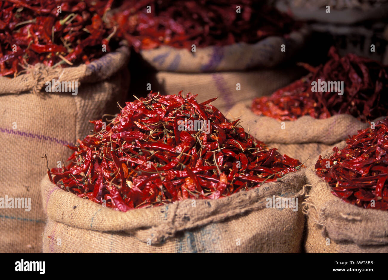 India jaipur rajasthan spices hi-res stock photography and images - Alamy