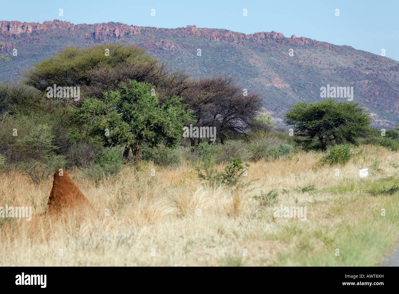 Bushland at Waterberg Plateau Park Otjozondjupa Region Namibia Stock ...