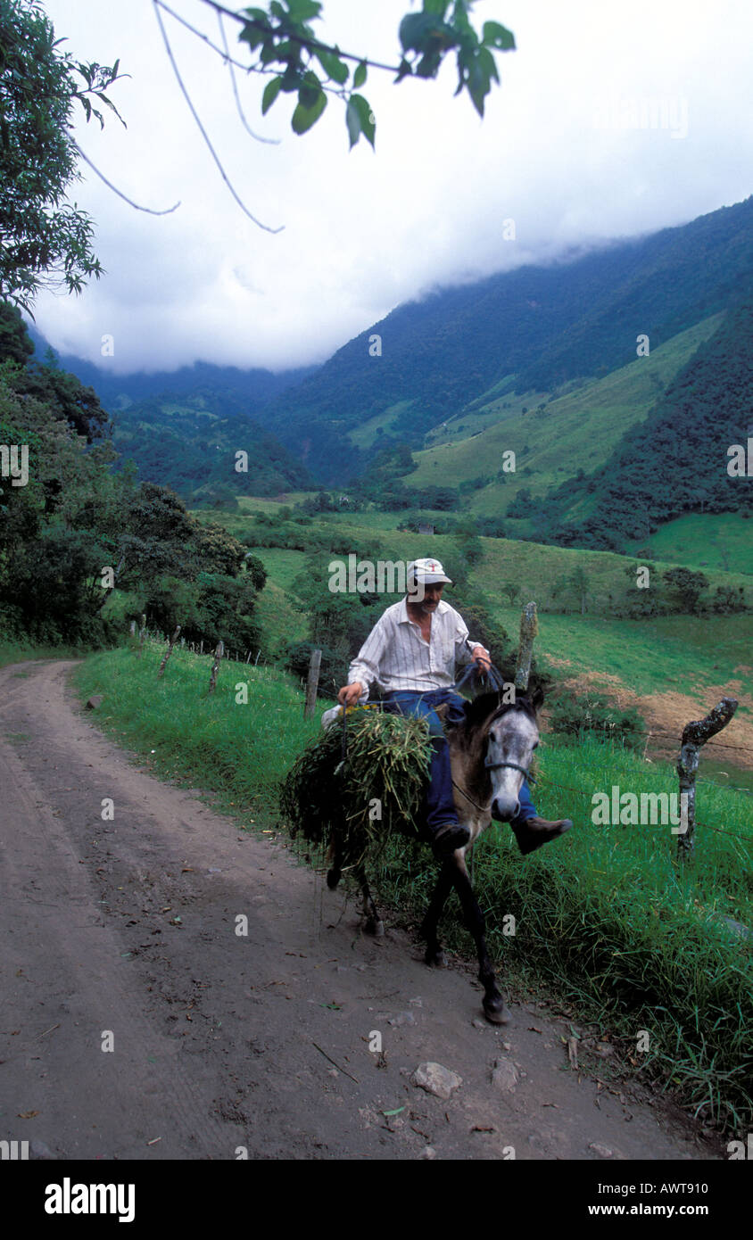 Donkey ecuador hi-res stock photography and images - Alamy