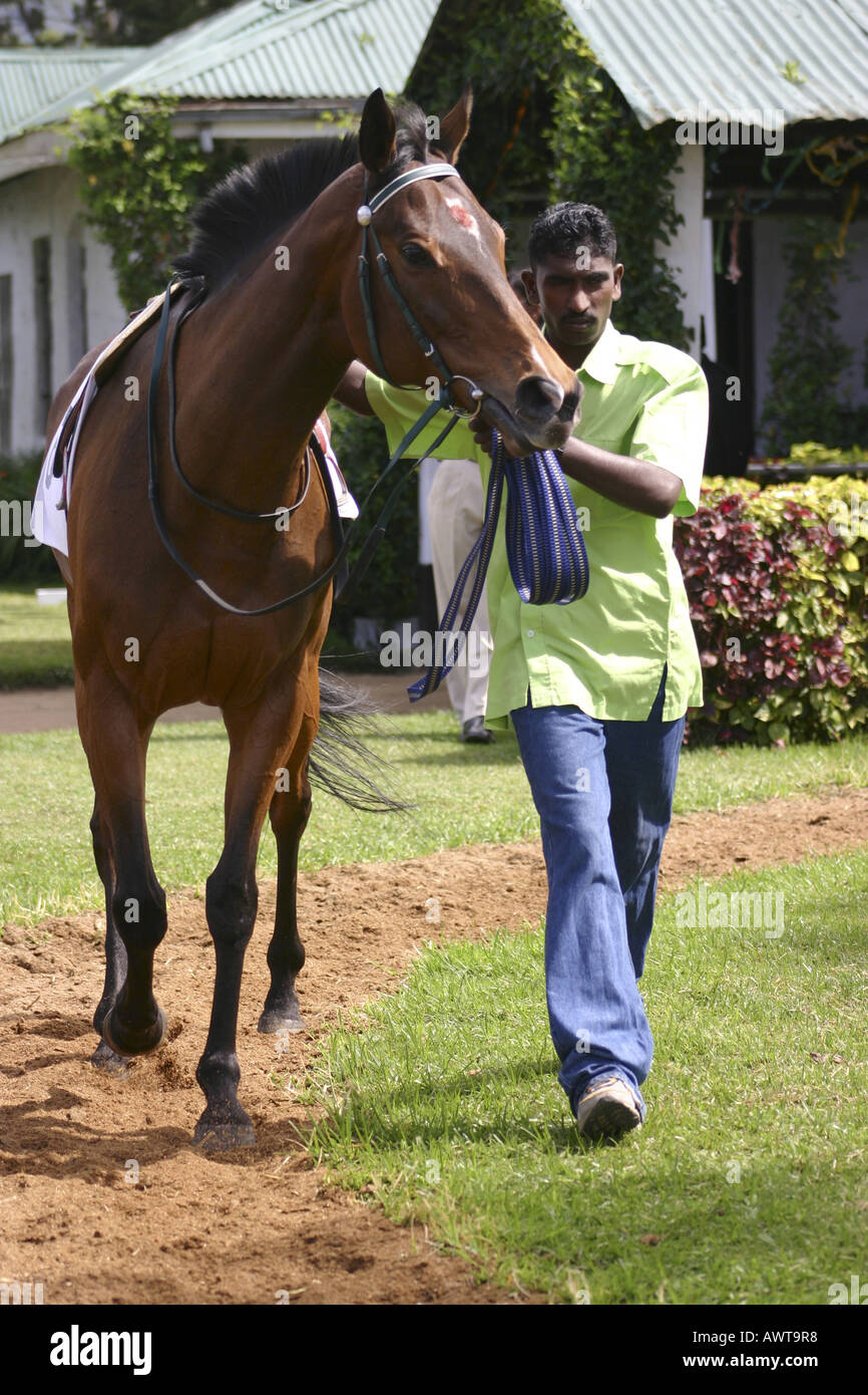 Horse racing races horses full length hi-res stock photography and ...
