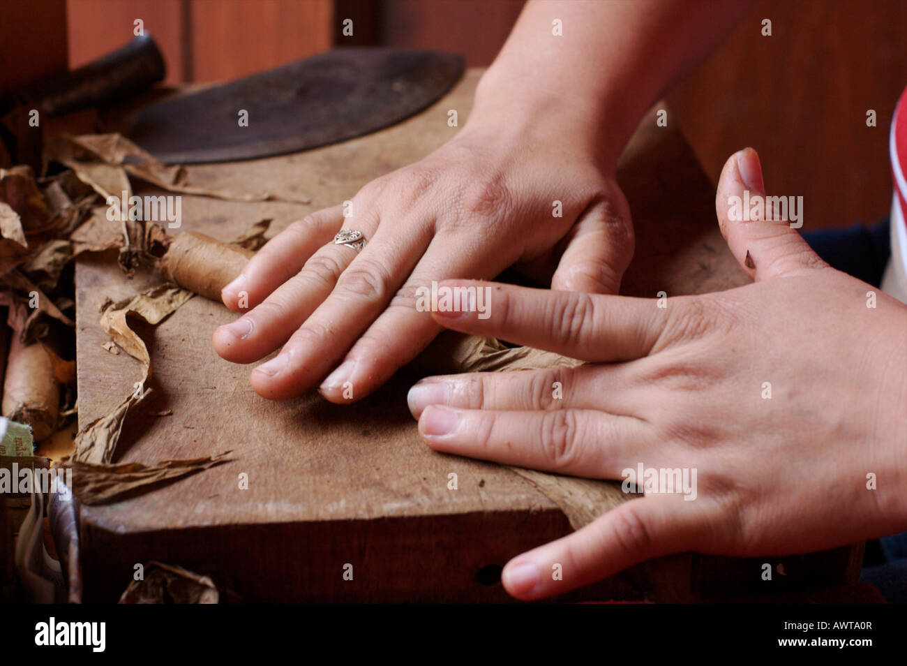 A woman performs a cigar rolling demonstration in Antigua Guatemala in ...