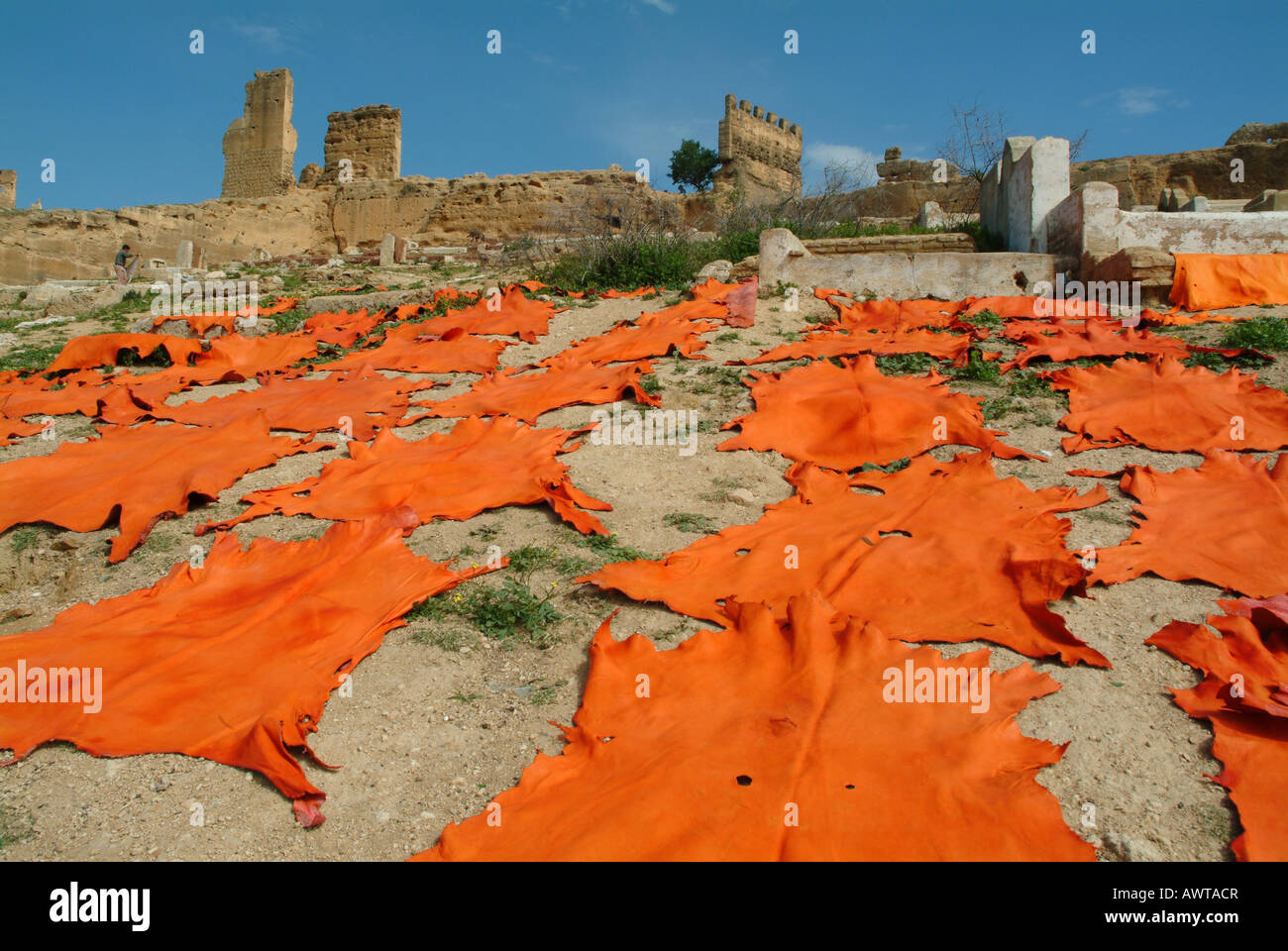 Animal skins drying in the field in Morocco Stock Photo - Alamy
