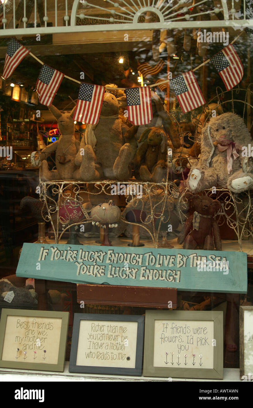 East Hampton gift shop window with funny sign Stock Photo - Alamy