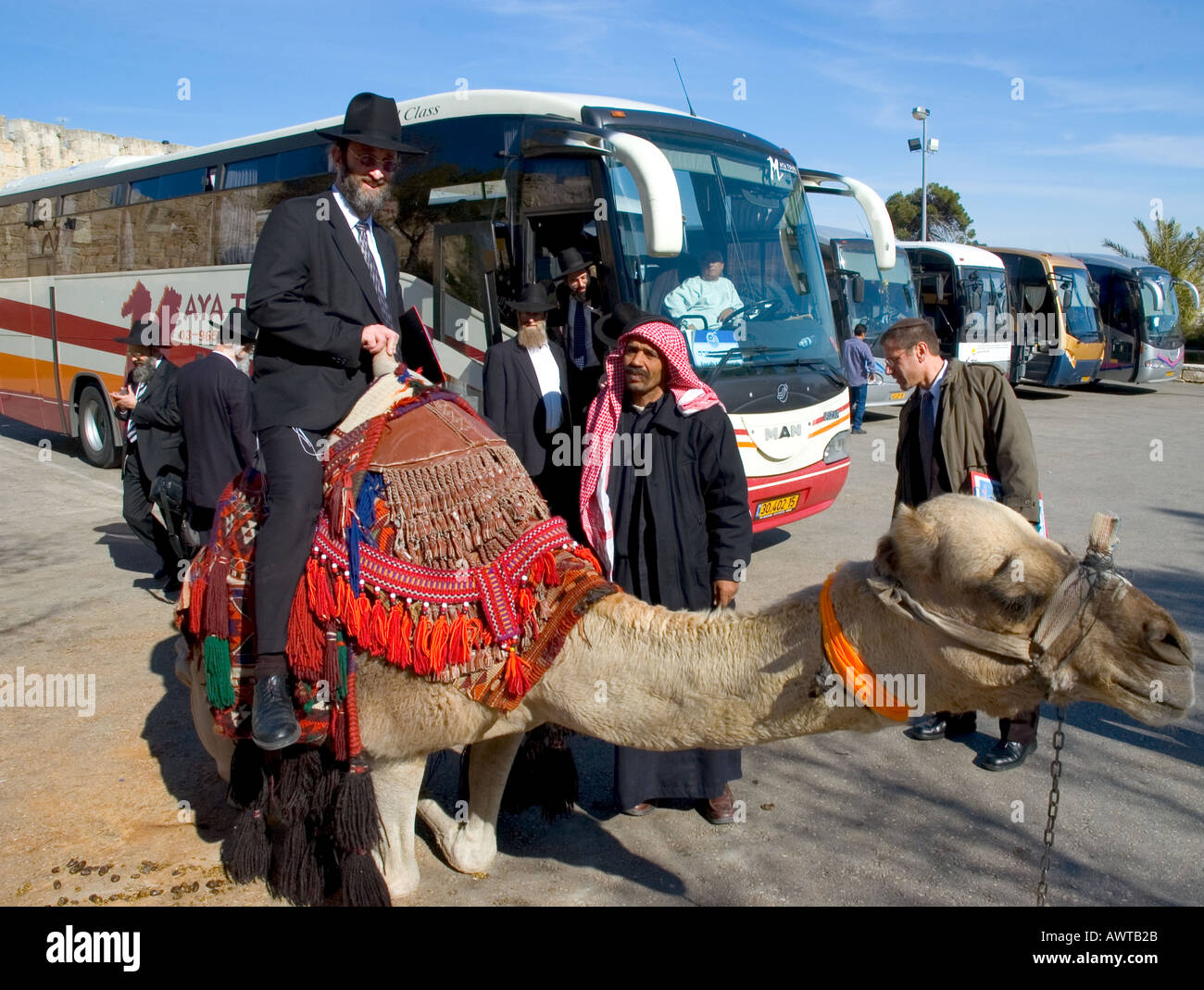 Camel riding israel hi-res stock photography and images - Alamy