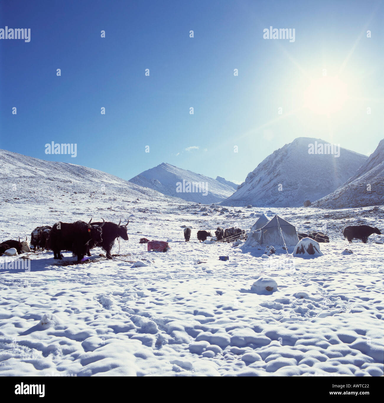 Kailash hi-res stock photography and images - Alamy