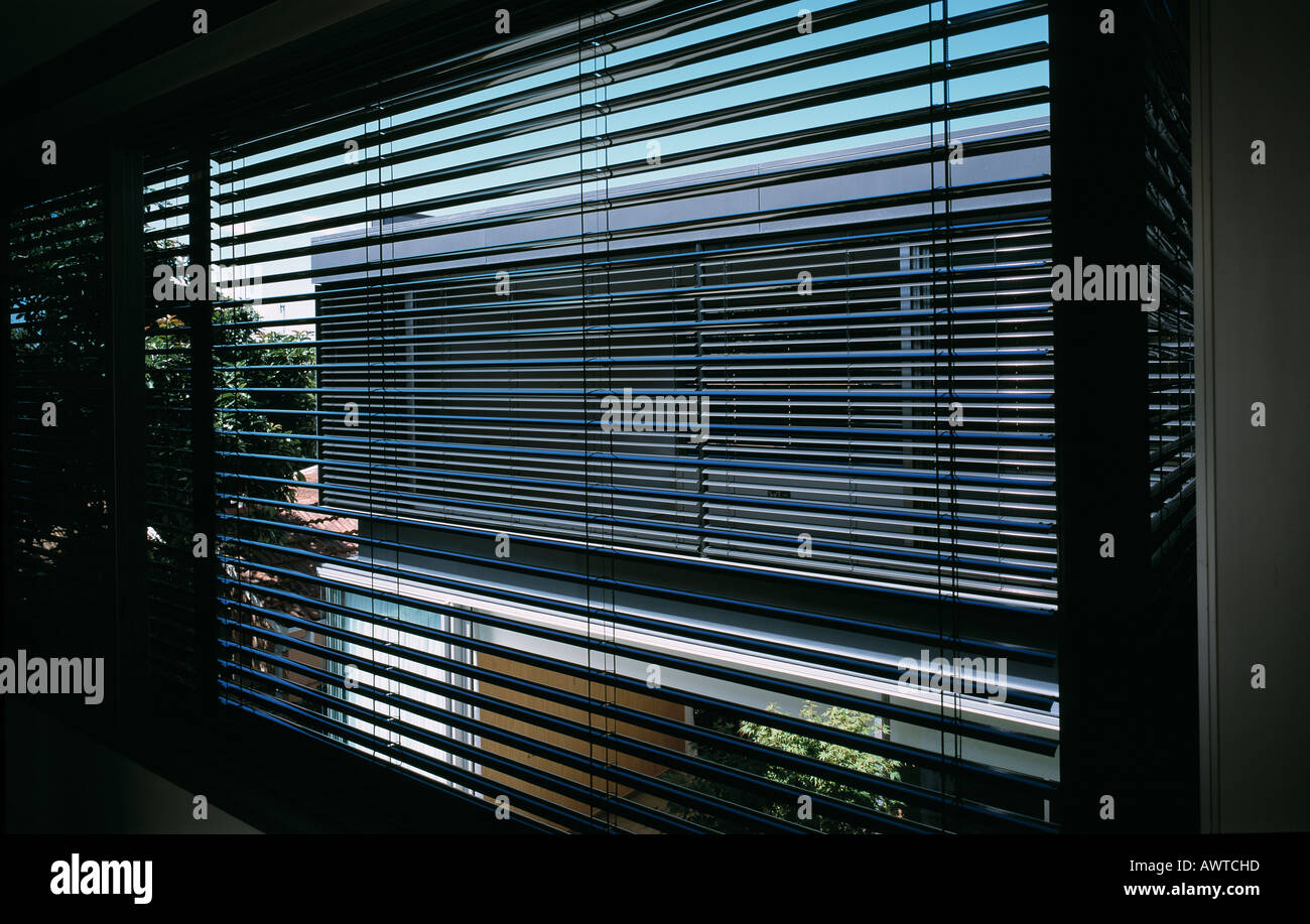 Little rose bay hi-res stock photography and images - Alamy