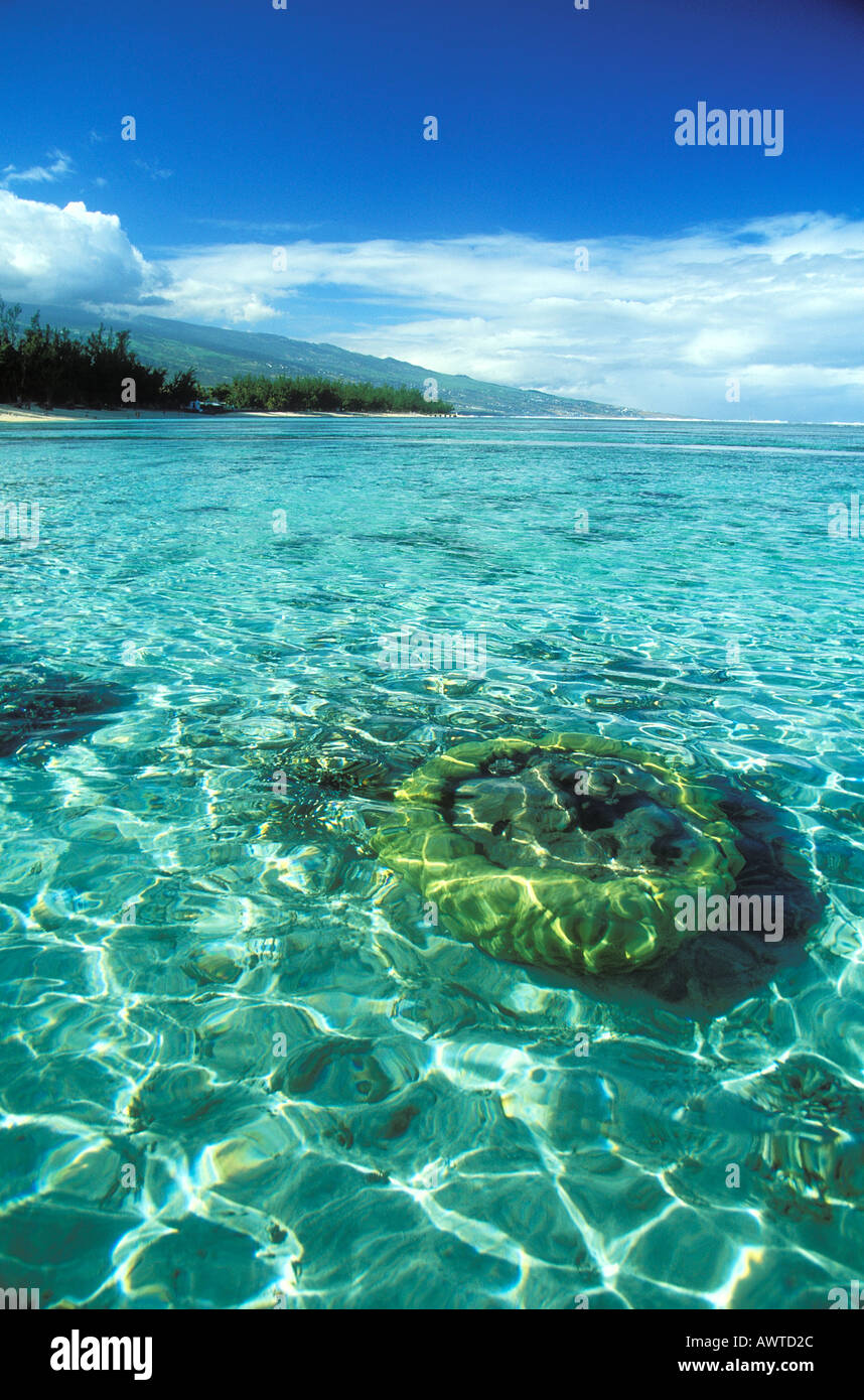 Lagoon in Reunion Island Stock Photo - Alamy