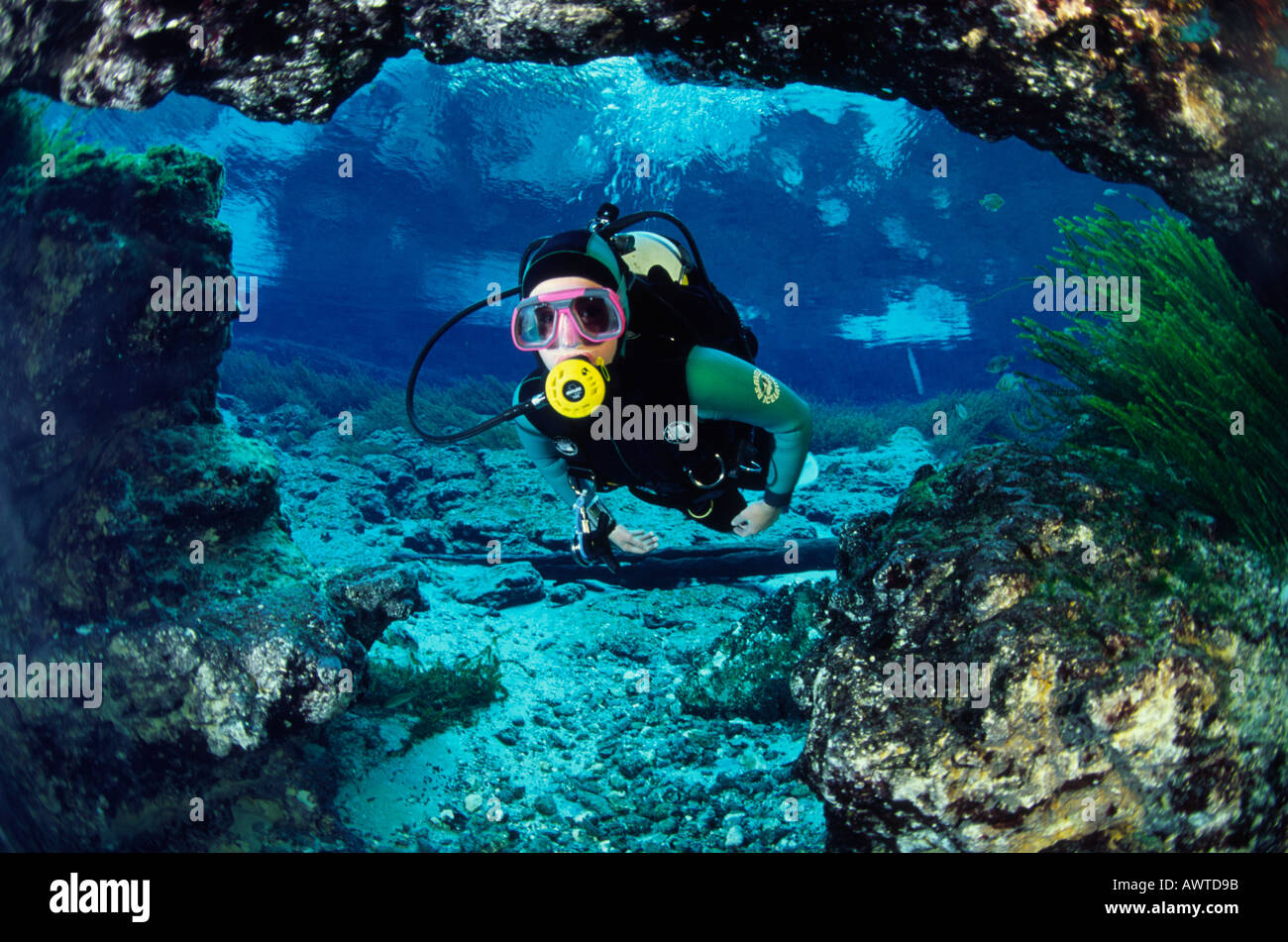 cave and cavern diving in Florida Stock Photo - Alamy