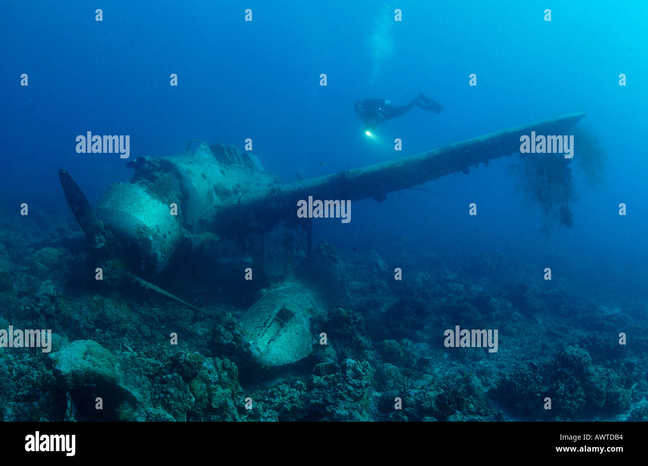 Jakes seaplane. Palau Stock Photo - Alamy