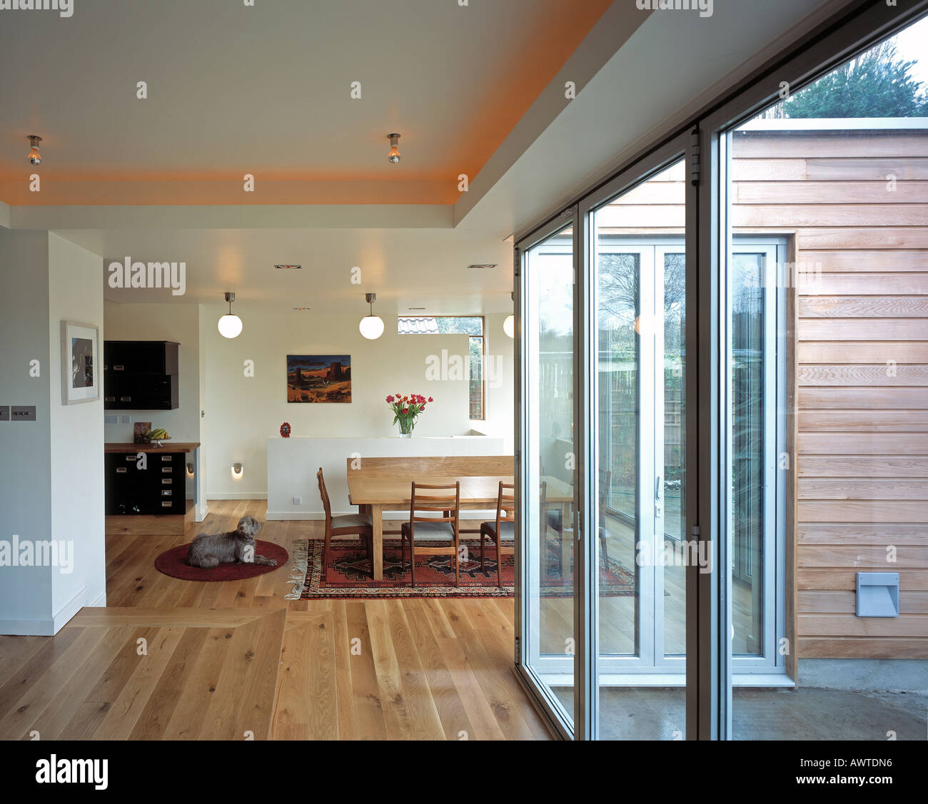 REAR EXTENSION, LONDON, UK Stock Photo - Alamy