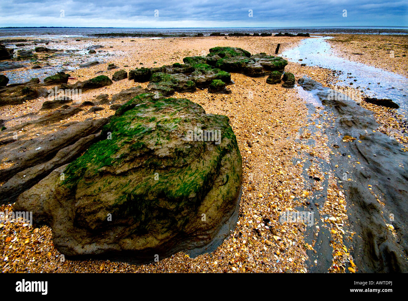 Bradwell Essex - a freshwater stream running through the The Cockle ...
