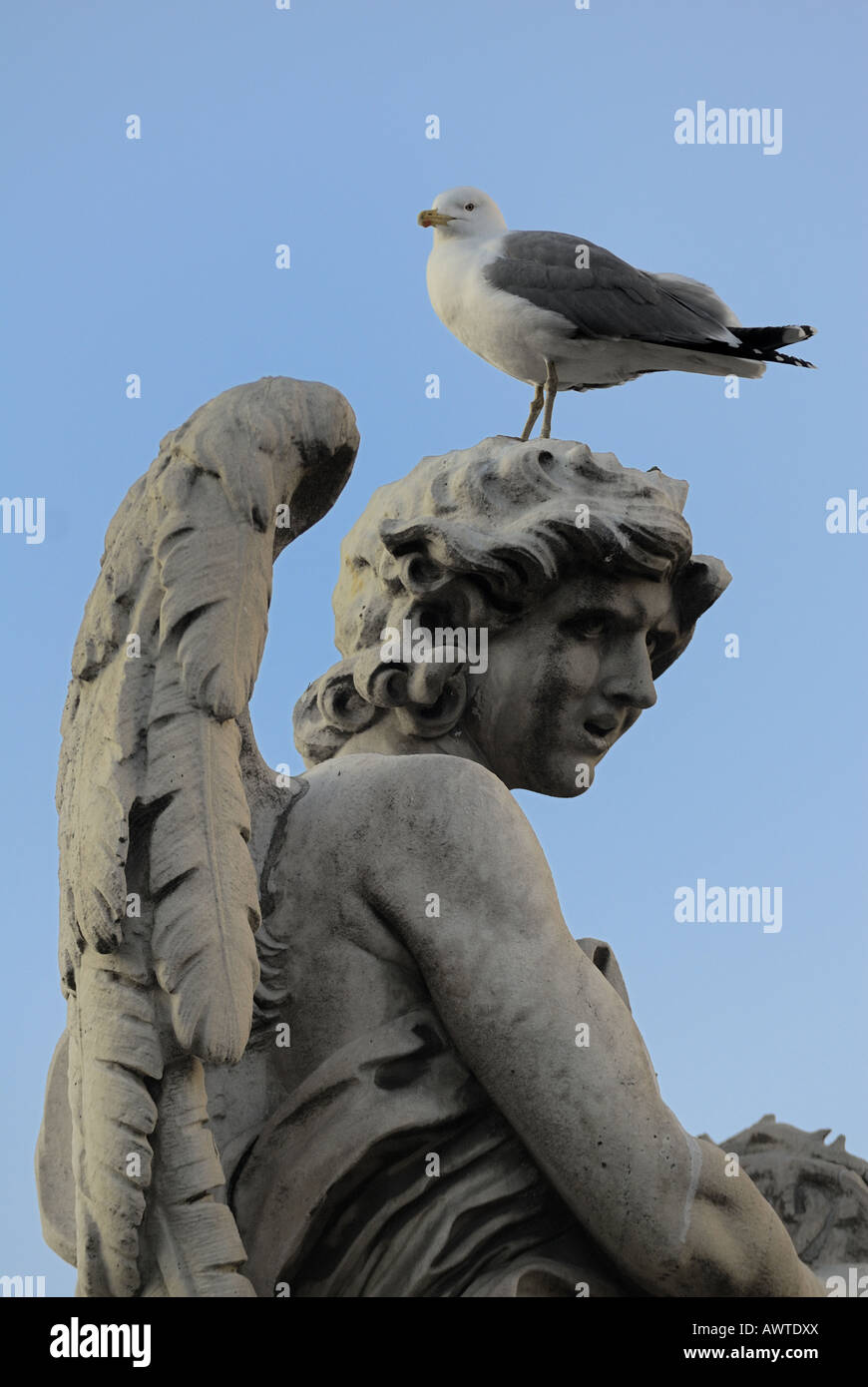 Angel statue on the bridge St. Angel in Rome Stock Photo - Alamy