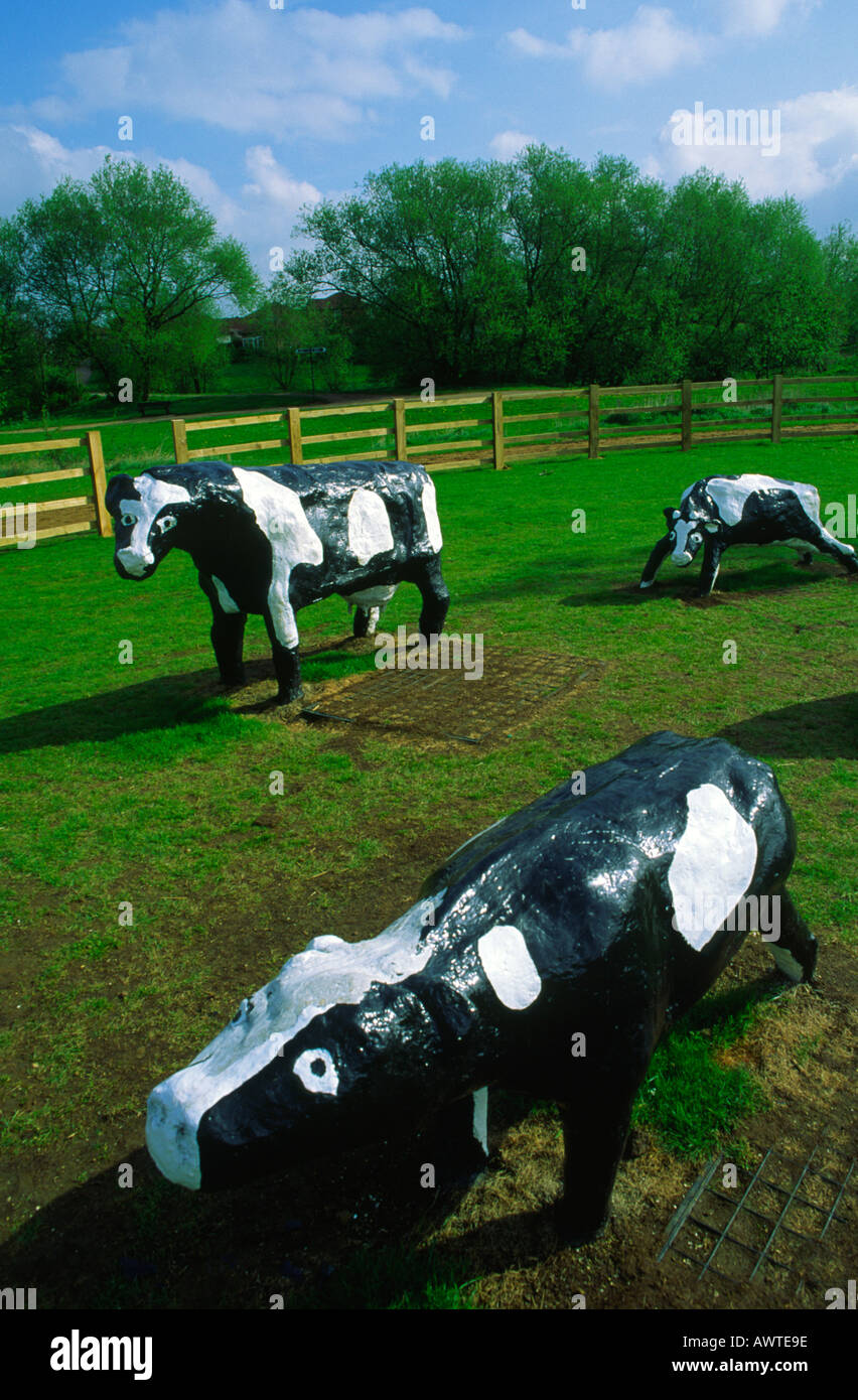 Black and white concrete cows Milton Keynes Buckinghamshire England ...