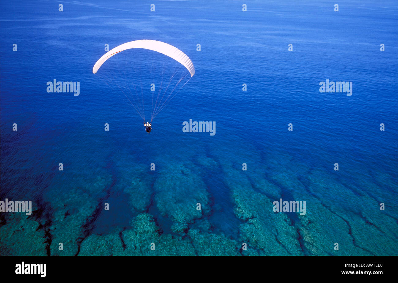 Paragliding in Indian Ocean Reunion Island Stock Photo - Alamy